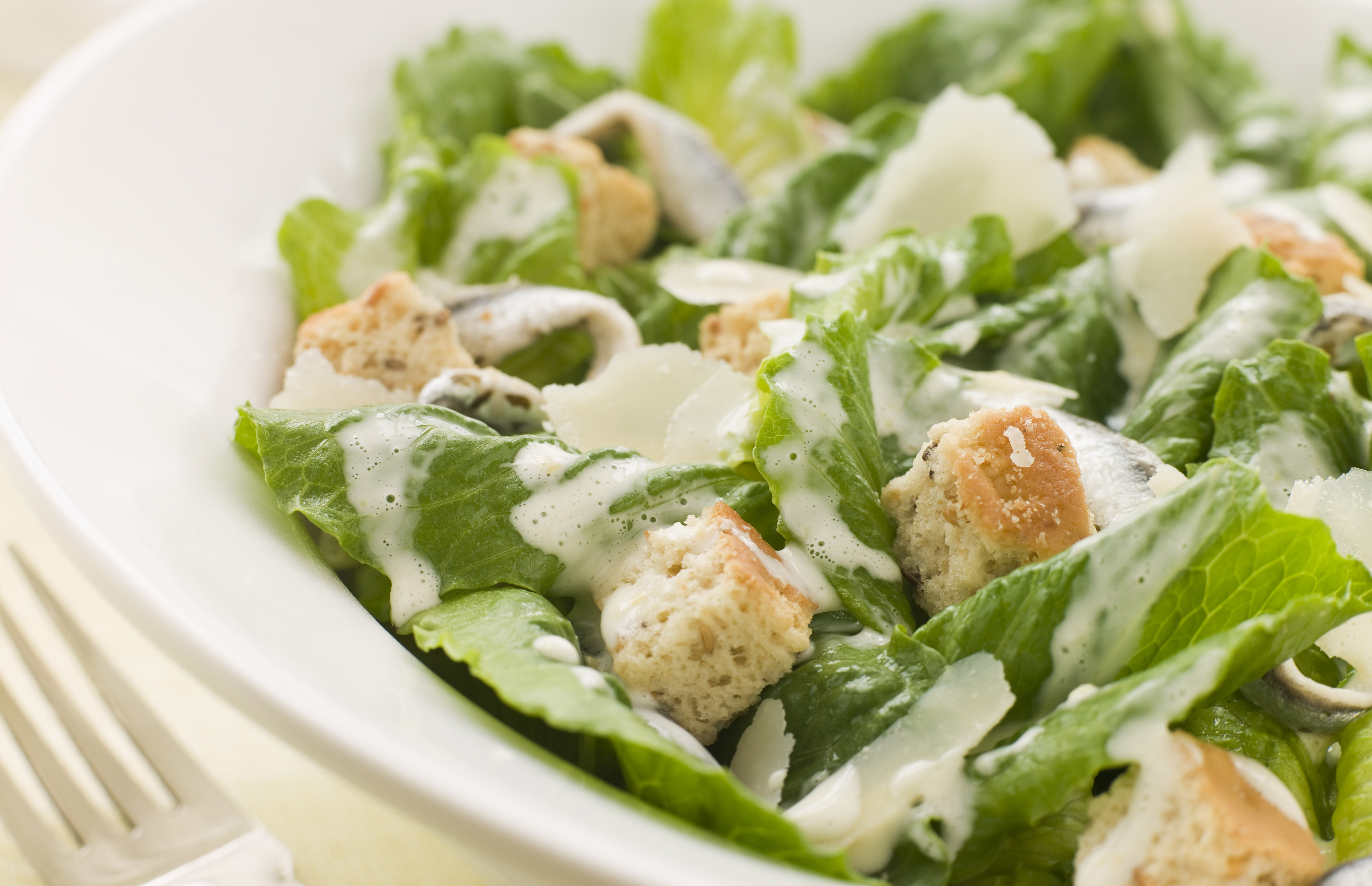 Homemade Fresh Salad Dressing | La Yogurt Probiotic